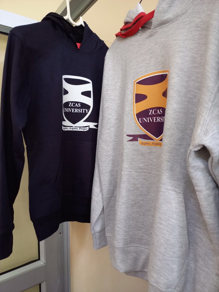 Grey Hoodie (Colour Logo) – The ZCAS University